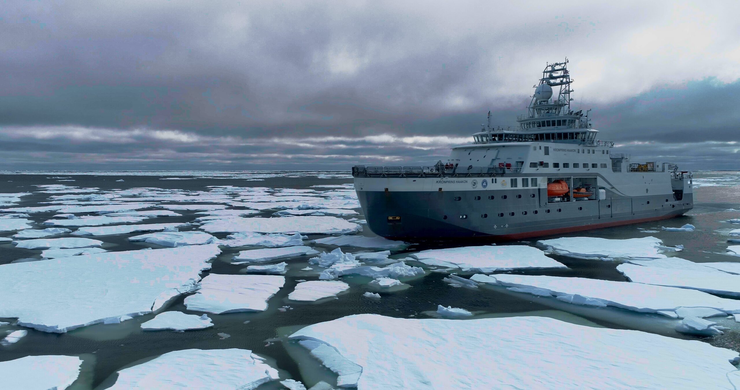 Unveiling life in the Arctic abyss: Ocean Census expedition reveals ... Unveiling life in the Arctic abyss: Ocean Census expedition reveals ...