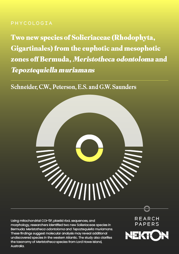 Two new species of Solieriaceae (Rhodophyta, Gigartinales) from the ...