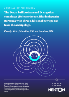 The Dasya baillouviana and D. cryptica complexes in Bermuda with three ...