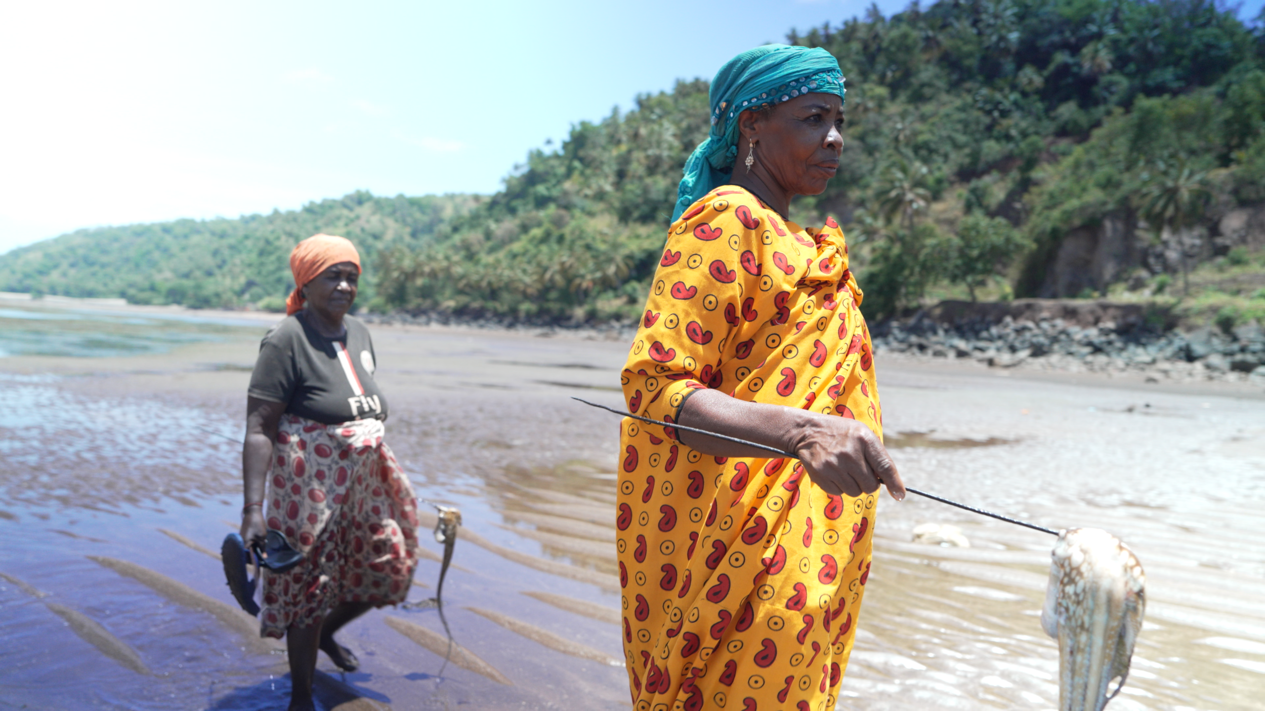 Local Community Conservation in Comoros