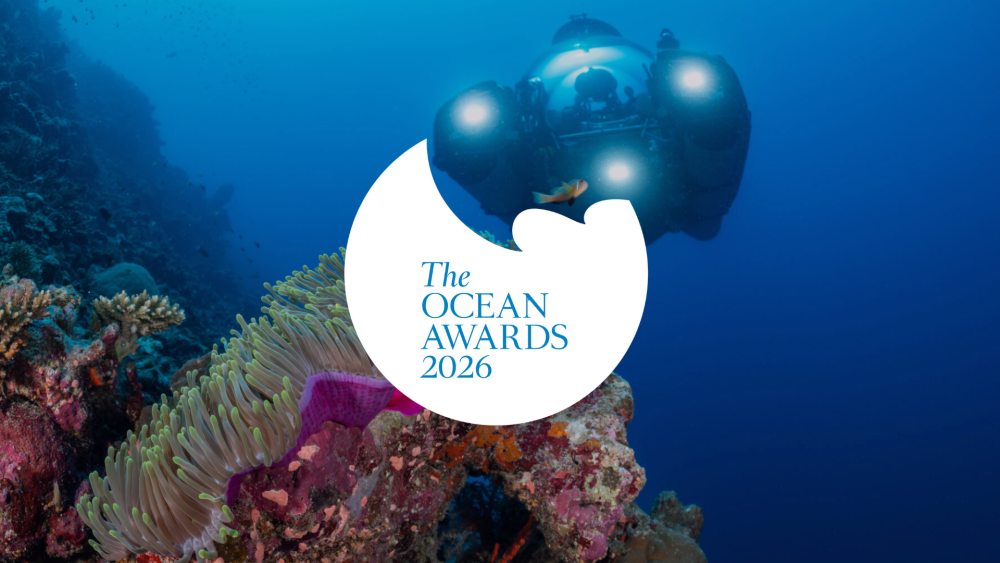 The Ocean Awards 2026 - Nekton